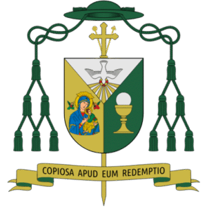 Developmental Projects | Catholic Diocese of Masvingo